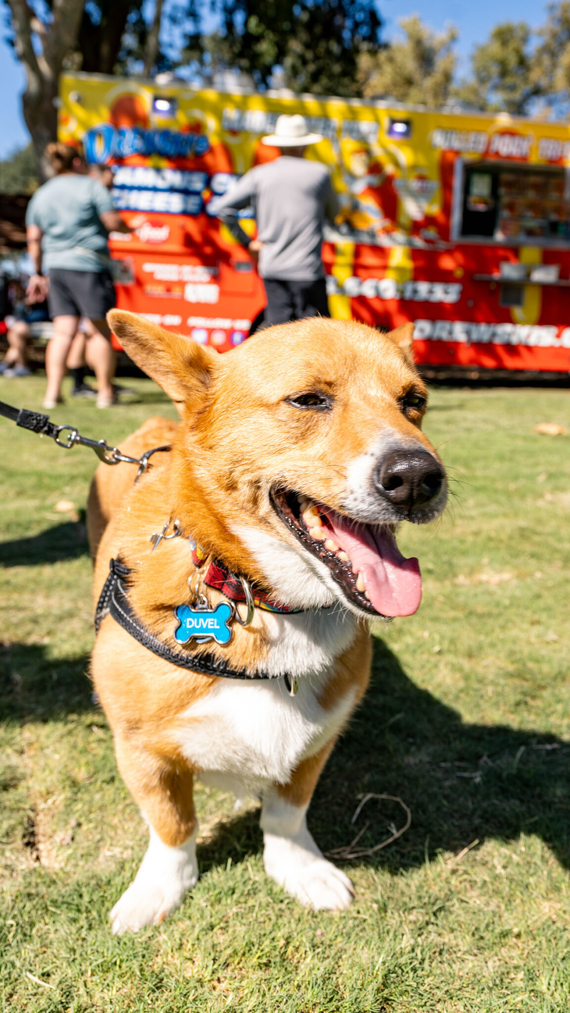 California Brewers Festival – Presented by Point West Rotary